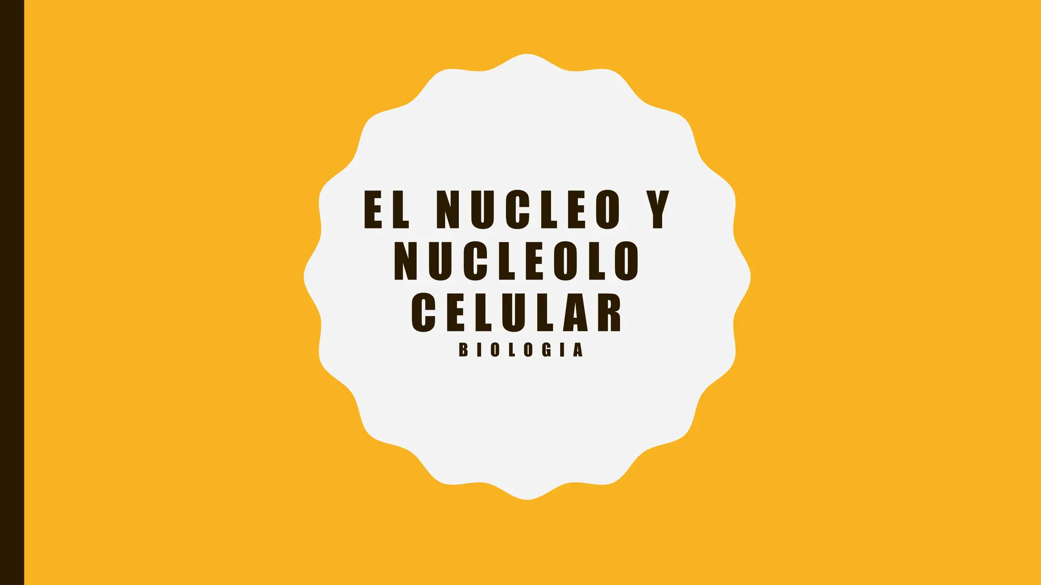 EL NUCLEO Y NUCLEOLO CELULAR, ESTRUCTURA, CARACTERISTICAS FUNCION.pptx