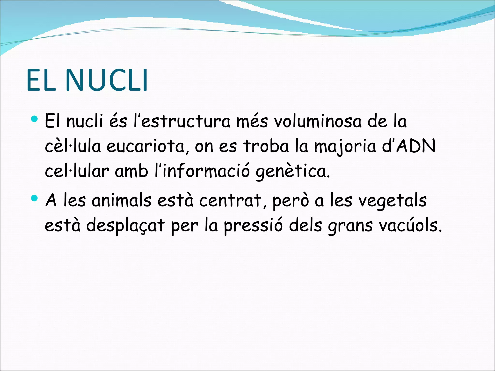 El nucli cel·lular | PPT