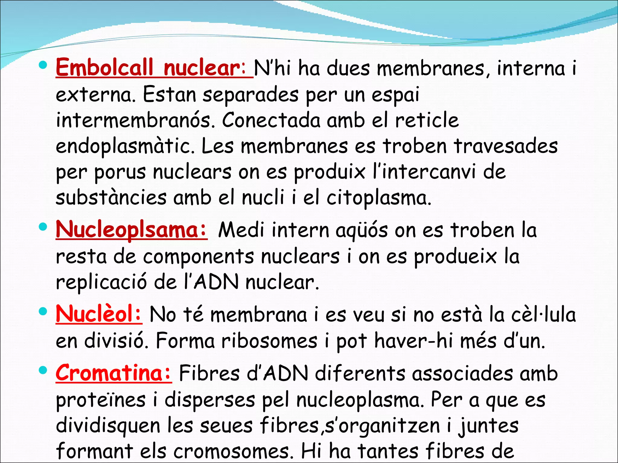 El nucli cel·lular | PPT