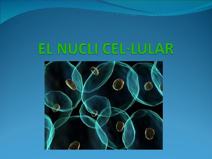 El nucli cel·lular