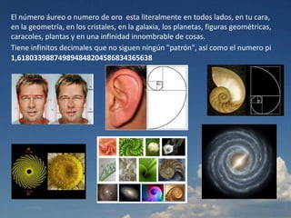 El numero de oro, por alumnos de 3º ESO | PPTX