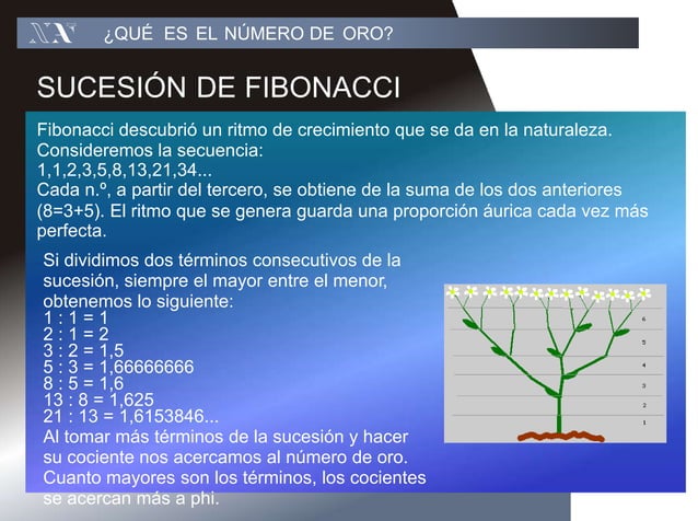 El numero de_oro_aritmetica_y_geometria_sagrada | PPT | Geography | Science