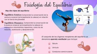 fisilogia y anatomia del oido y el equilibrio | PDF