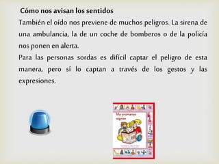 El oido | PPTX
