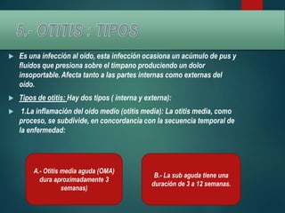 El oido profesor crisologo | PPTX