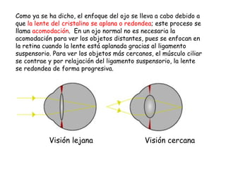 EL OJO Y LA VISION, ESTRUCTURA Y FUNCION | PPT