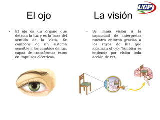 El ojo - la visión | PPTX