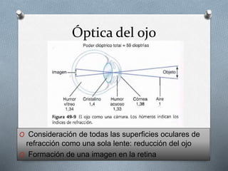 El ojo i optica de la vision | PPTX