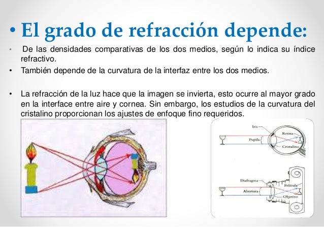 El Ojo y la Visión.