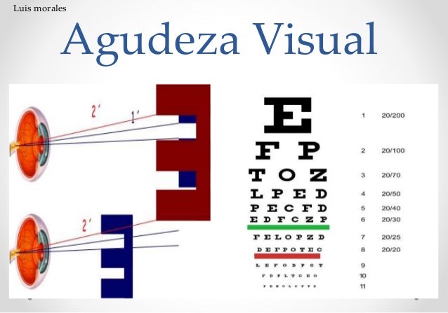 El Ojo y la Visión.