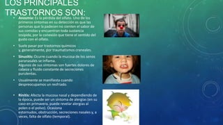 El olfato | PPTX