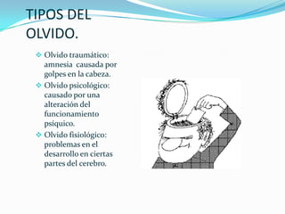 Contenido Del Olvido