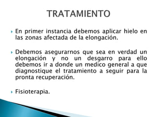 Elongacion muscular | PPTX