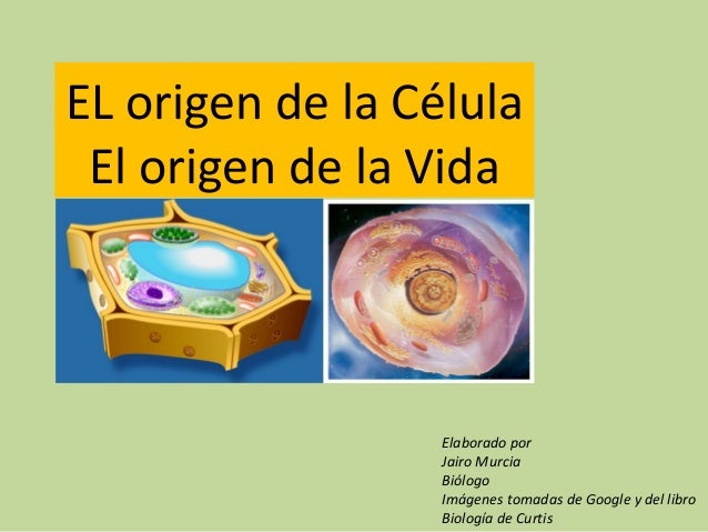 El Origen De La Célula