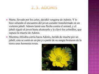 El origen de las rosas según la mitología | PPTX