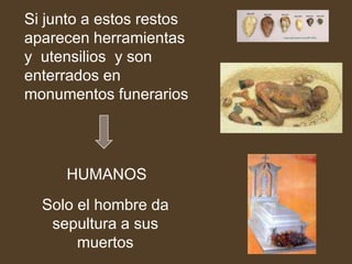 El Origen Del Hombre A La Luz De La Ciencia Y La Biblia Ppsx