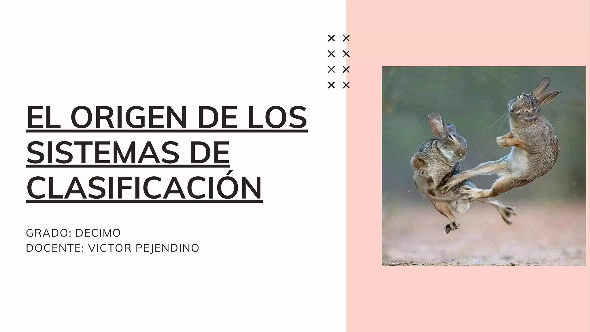 EL ORIGEN DE LOS SISTEMAS DE CLASIFICACIÓN.pdf