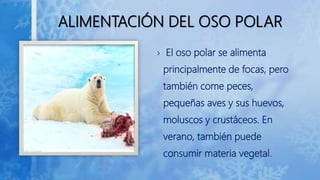 EL OSO POLAR.pptx