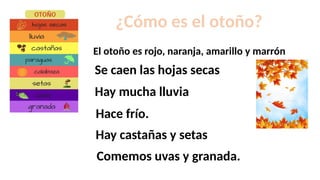 El Otoño, vocabulario básico para aprender español | PPTX