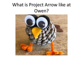 Curriculum presentation for Owen Elementary Project Arrow 13-14 | PPTX