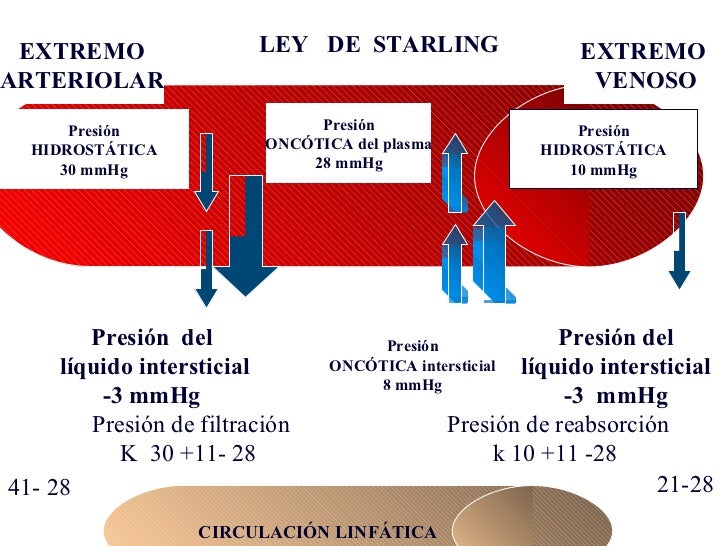 El paciente con edema