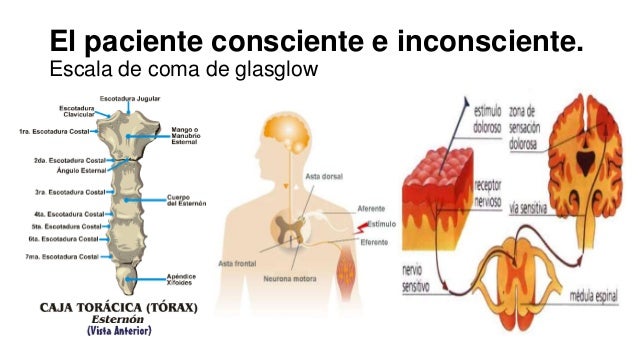 El paciente consciente e inconsciente