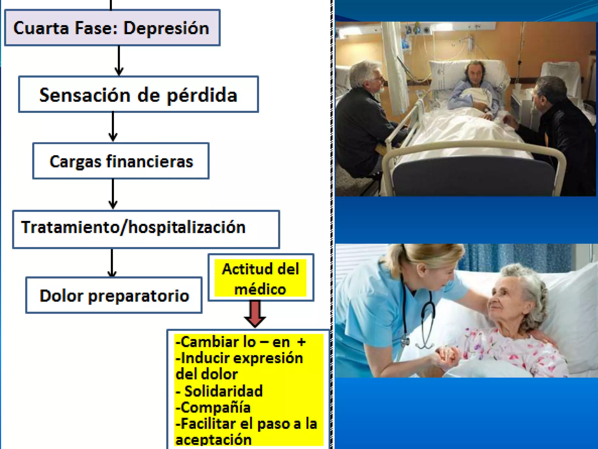 El Paciente Terminal y la Muerte | PPT