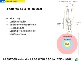El paciente y_la_lesion | PPT