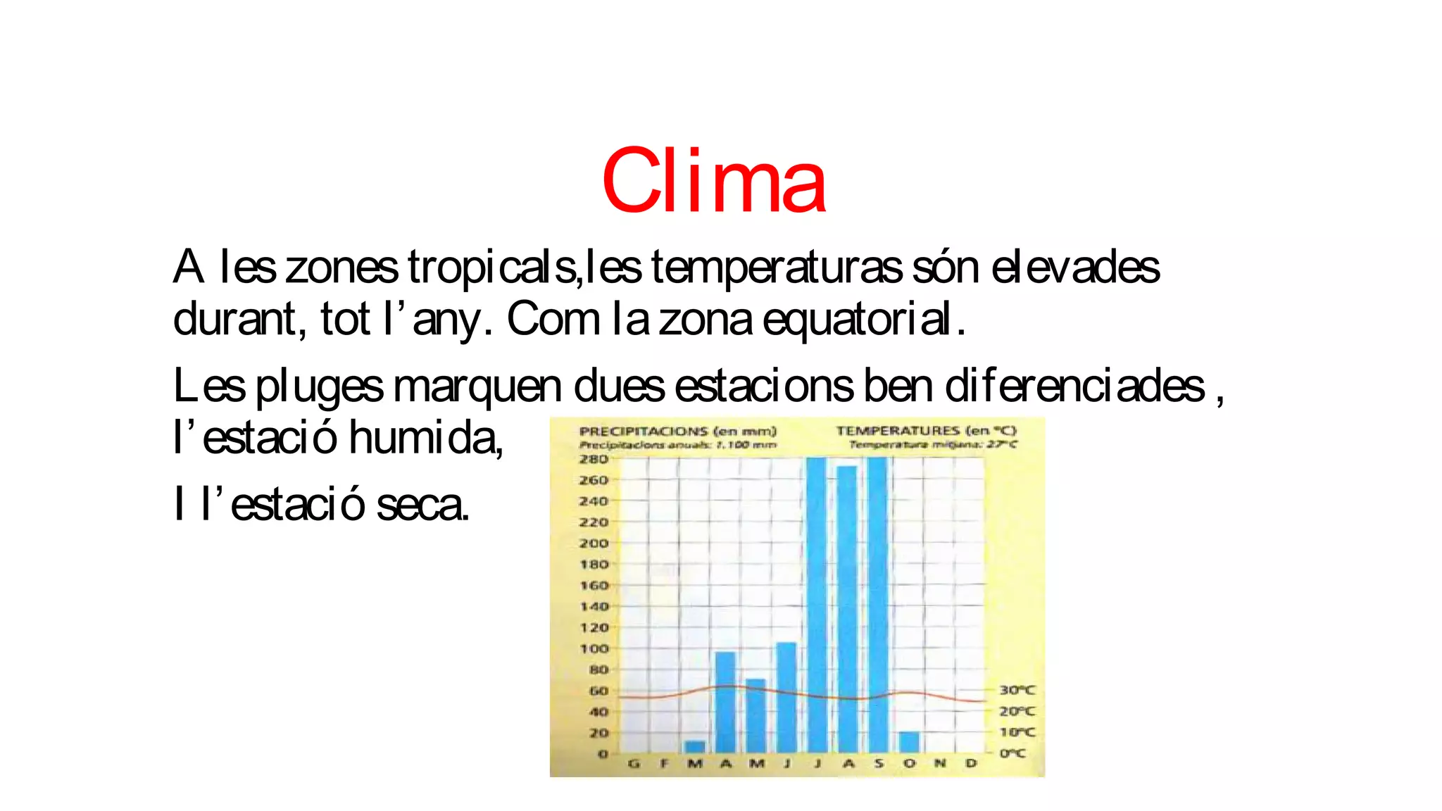 El paisatge tropical (isara i itziar) (1B) | PPT