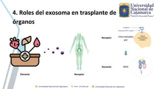 El papel emergente de los exosomas en la inmunidad innata, diagnóstico ...