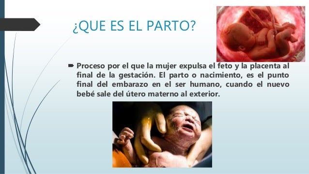 El parto y sus etapas