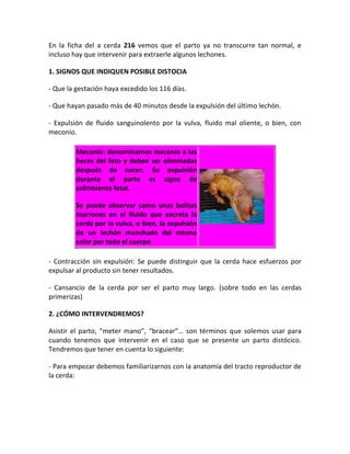 El parto distócico en la cerda y su manejo | PDF
