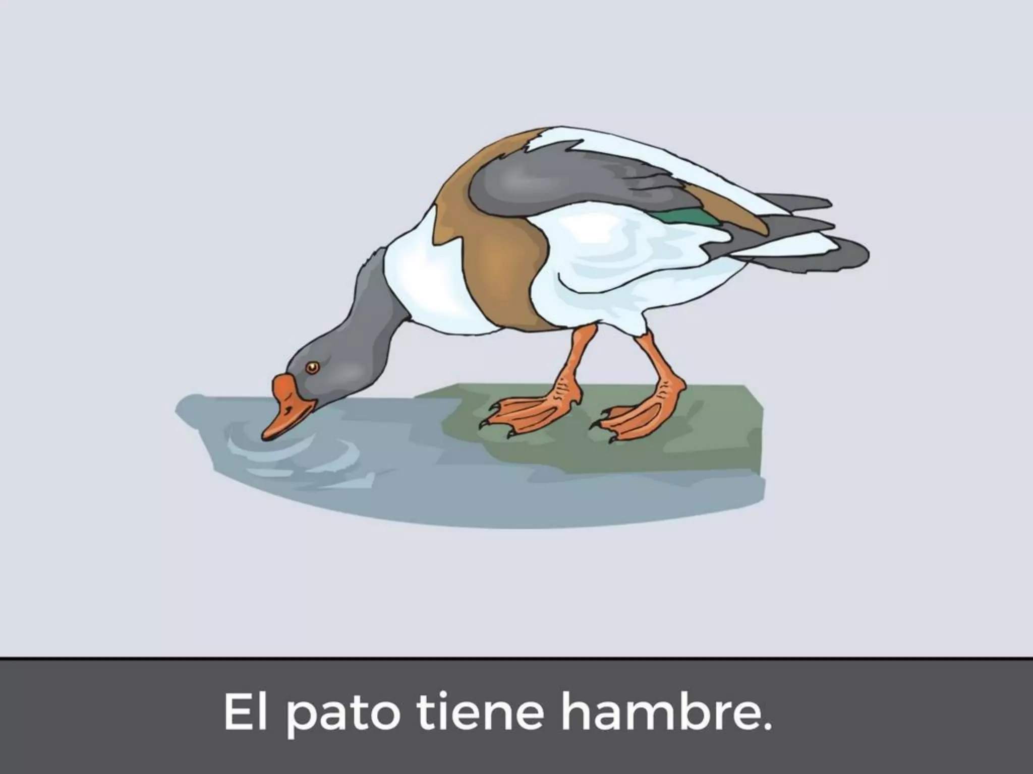 El pato que tiene hambre | PDF
