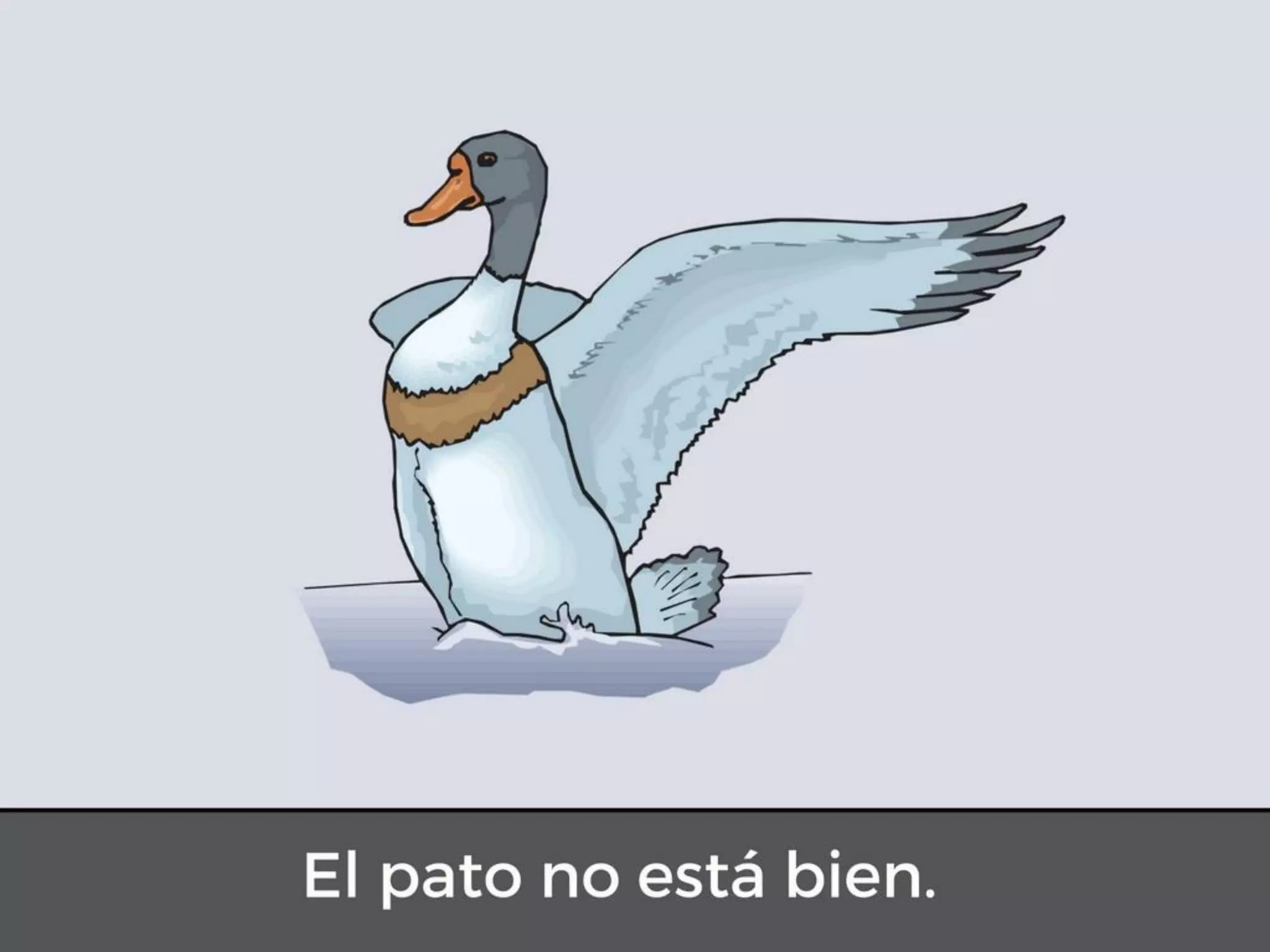 El pato que tiene hambre | PDF