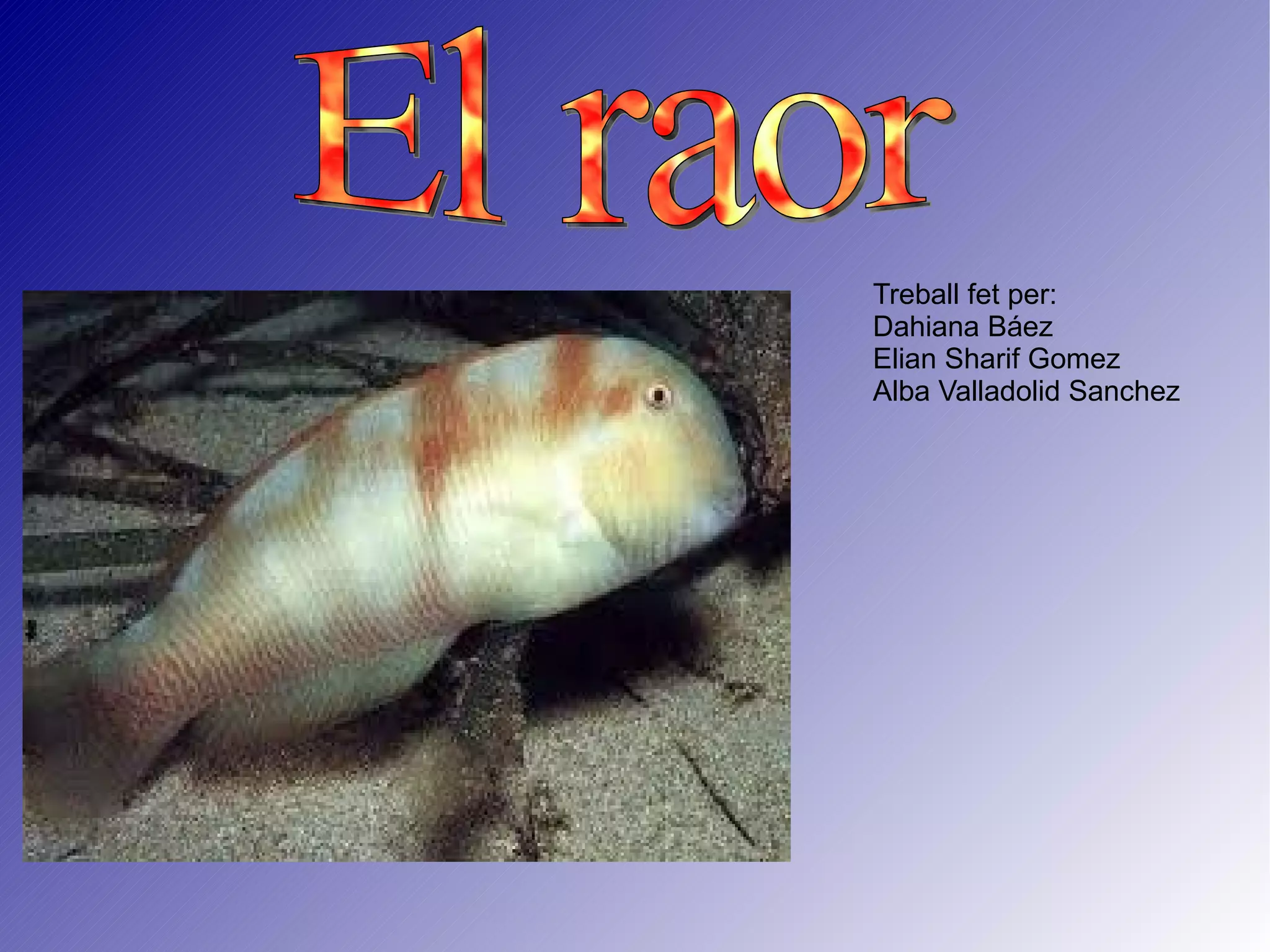 El peix raor | ODP