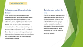 El perfil del suelo, las calicatas y muestreos de suelos..pptx