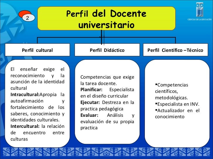 El Perfil y las Funciones del Docente Universitario