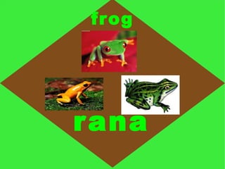 El perro y el gato jungla | PPT