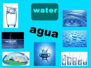 El perro y el gato jungla | PPT