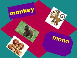 El perro y el gato jungla | PPT