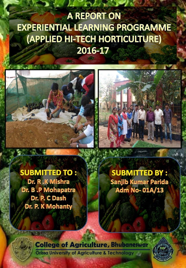 Experiential Learning Programme on Applied Hi-Tech Horticulture | PDF