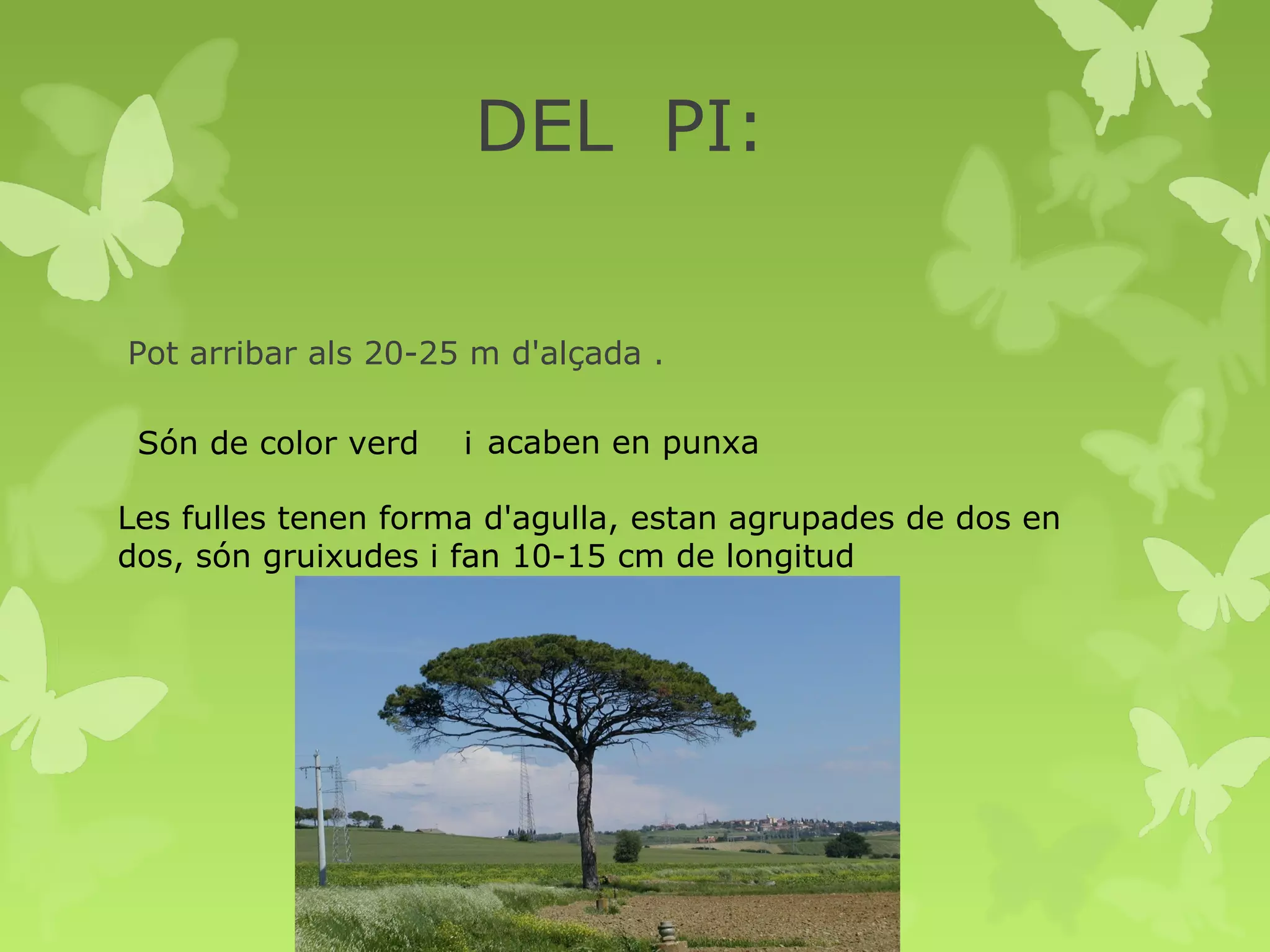El pi | PPT