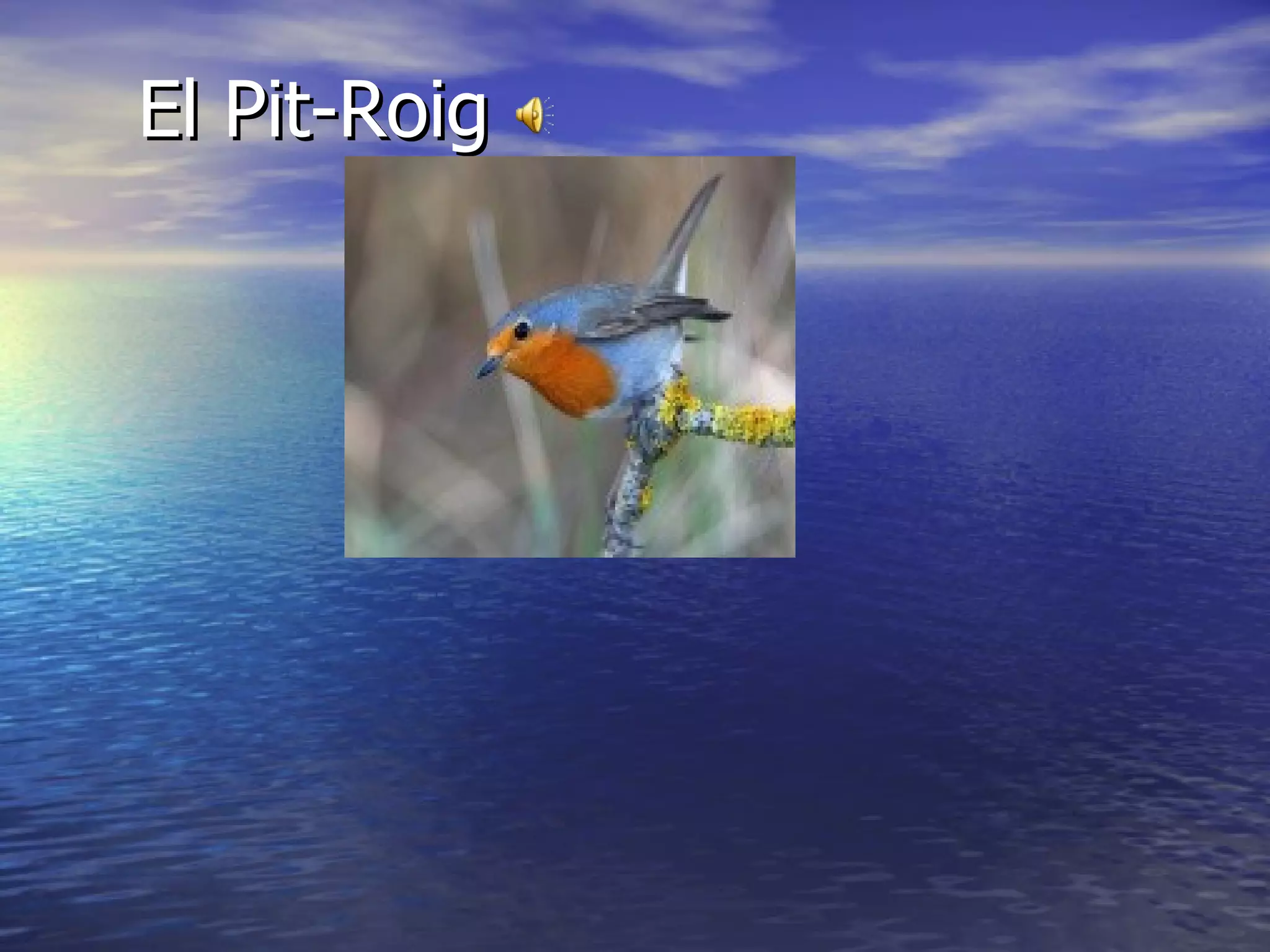 El Pit Roig | PPT