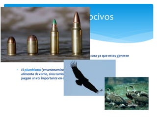 El plomo | PPTX