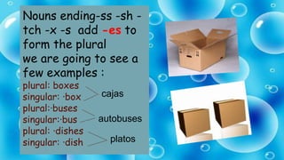 Singular and plural rules for beginners. | PPT