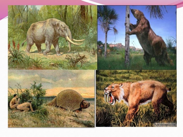 EL POBLAMIENTO DE AMÉRICA