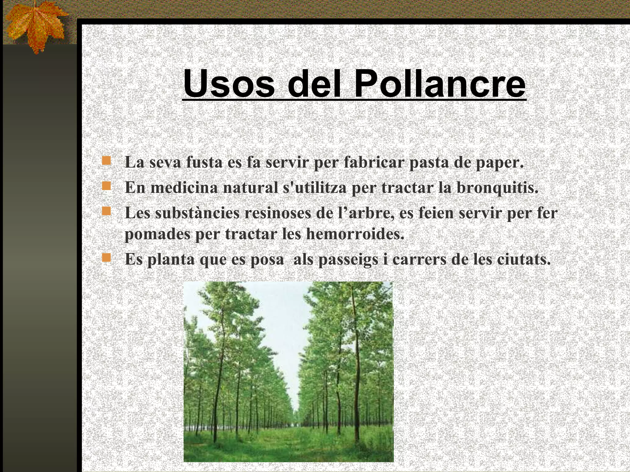 El pollancre i la mort de Faetont, de Yolanda Enríquez | PPT