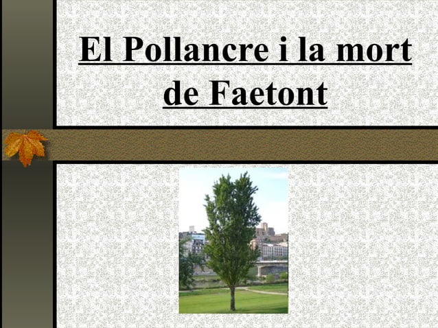 El pollancre i la mort de Faetont, de Yolanda Enríquez | PPT