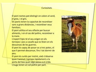 El poni | PPT