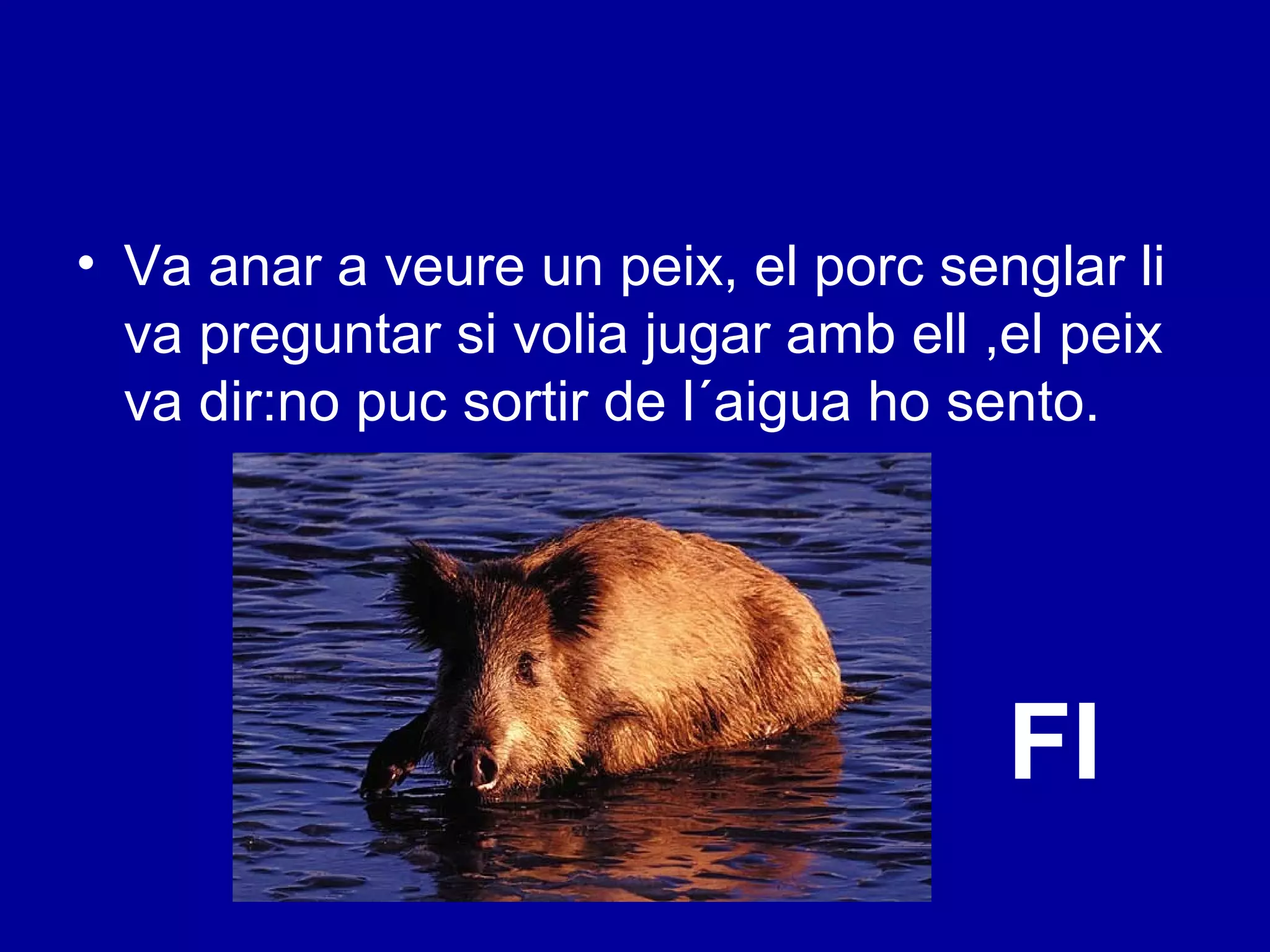 El porc senglar solitari | PPT